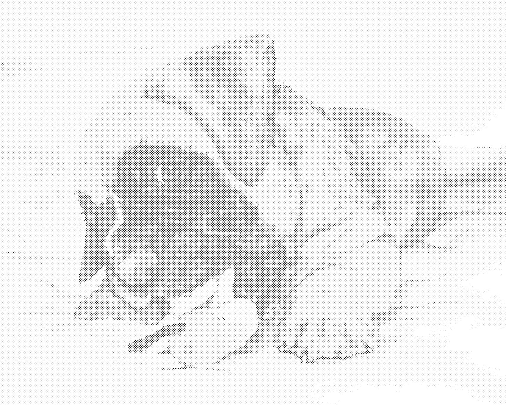 Рисуване по точки - КУЧЕНЦЕ НЕМСКИ БОКСЕР – ZUTY BG